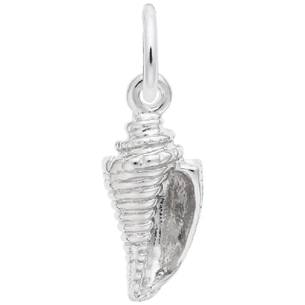 Cone Shell - Gilson's Engraving & Elegant Gifts